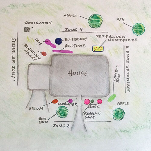 Make a Landscaping and Yard Map for Future Owners – Mother Earth News